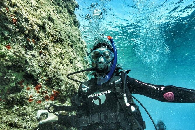 DSD | Discover scuba Diving Experience in Paros - The Sum Up: Who Will Love This?