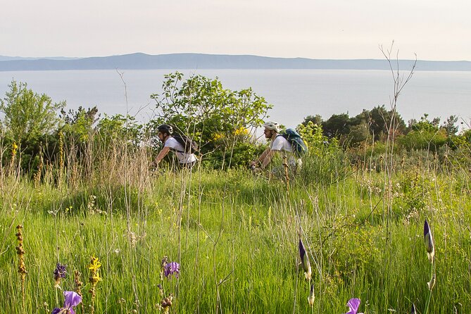 E-Bike Tour at Historical Villages of Makarska - Who Should Consider This Tour?