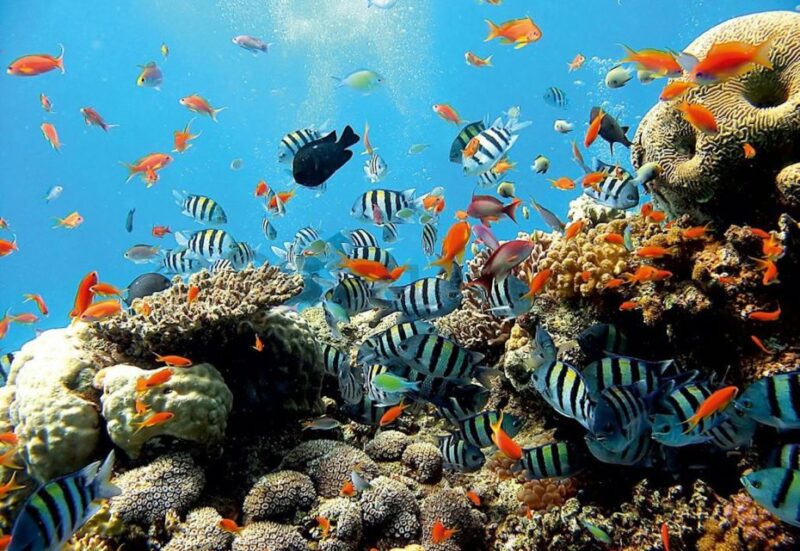 East Bali: Snorkeling, Canyoning, and Waterfall Day Trip - The Value and What Travelers Say