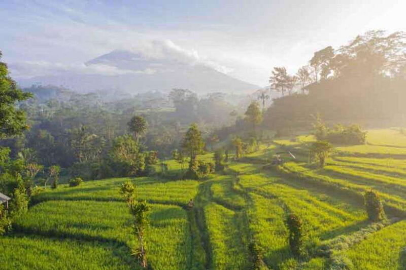 East BALI tour - Practical Details and Value