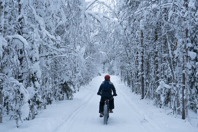 Electric Fatbike Tour in Winter - The Sum Up: Why Choose This Tour?