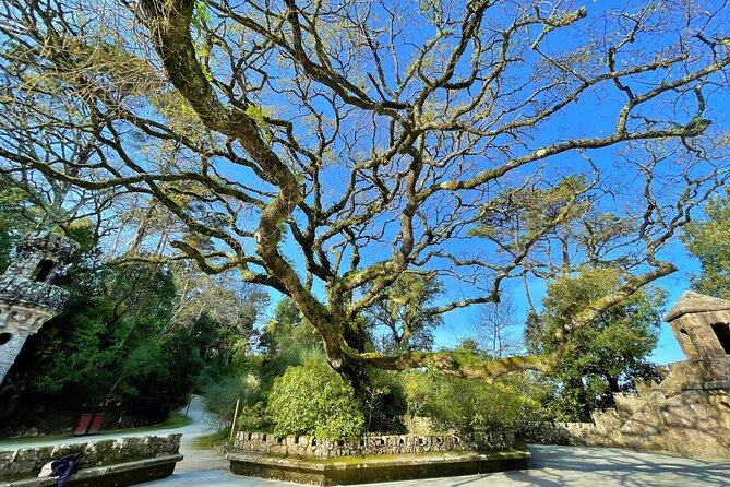 Esoteric Journey through the Park and Palace of Regaleira - The Role of the Guide and Personal Touch