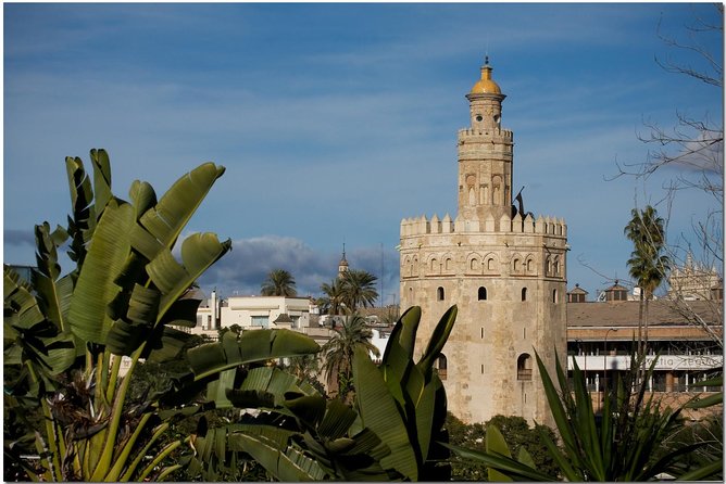 Essential Seville Tour - Practical Details: Value, Comfort, and Tips