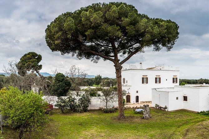 EVO Oil Tasting in Masseria in Ostuni - FAQ