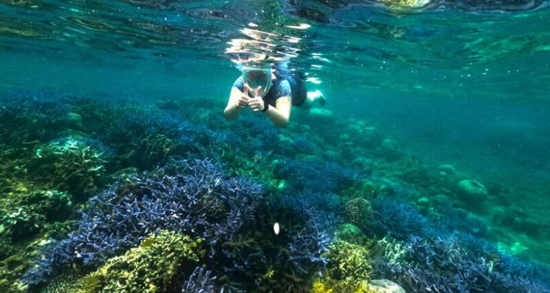 Exclusive Snorkeling Experience to Gili Gede and 4 Gilis - The Itinerary Breakdown: What Makes Each Stop Special