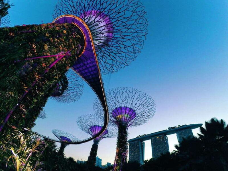 Fabulous Night-out in Singapore - What Makes This Tour Stand Out?