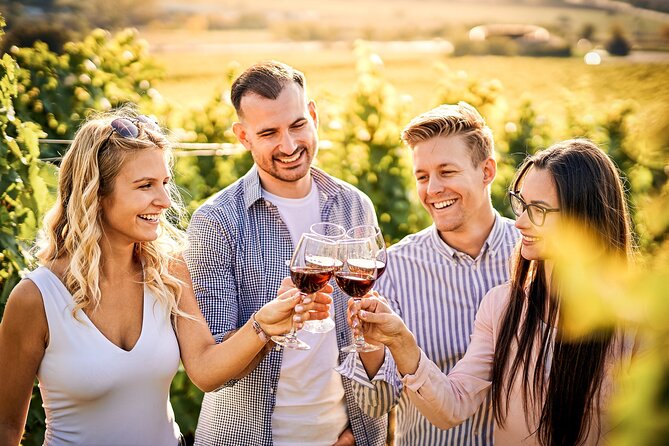 Faro City Portuguese Wine Tasting and Tapas Guided Tour - Practical Details and Tips