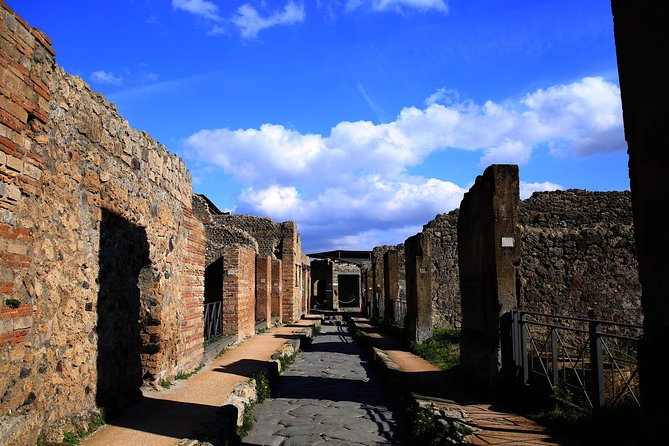 Fast Access Exclusive Private Ancient Pompeii Herculaneum & Oplontis Guided Tour - FAQ