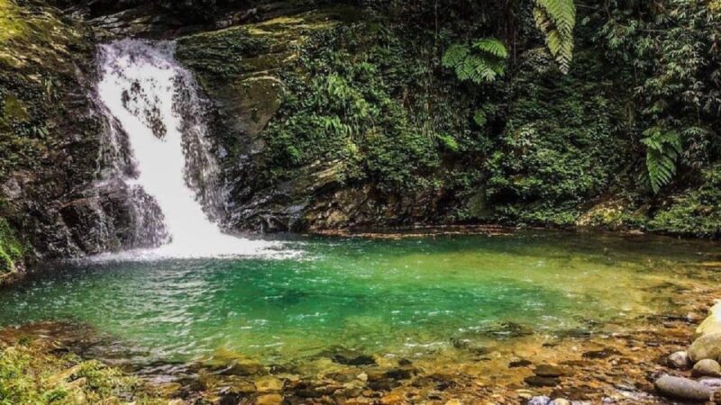 FFOM HUE : TOUR TREKKING HUE - BACH MA NATIONAL PARK DAILY - Practical Details and What’s Included