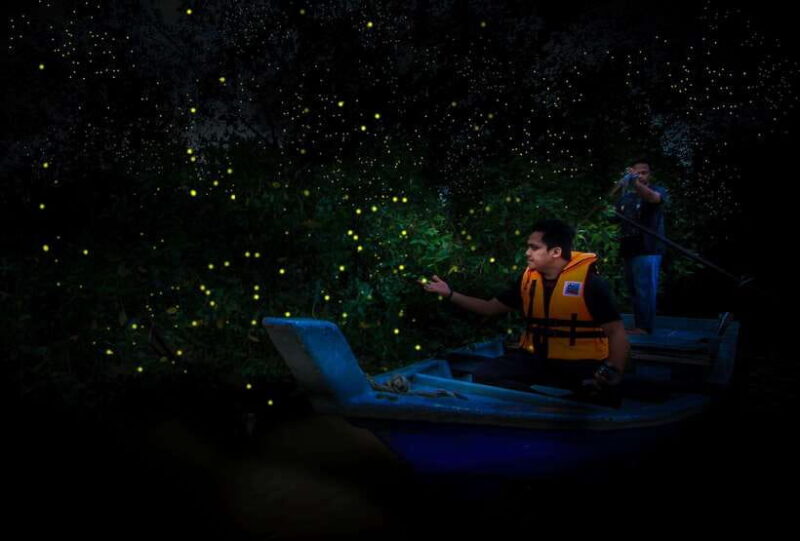 Firefly, Eagle Feeding, and Blue Tears Kuala Selangor Tour - Detailed Breakdown of Each Stop