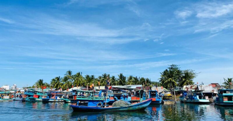 Fisherman life Insider - Great fun by Scooters - FAQ