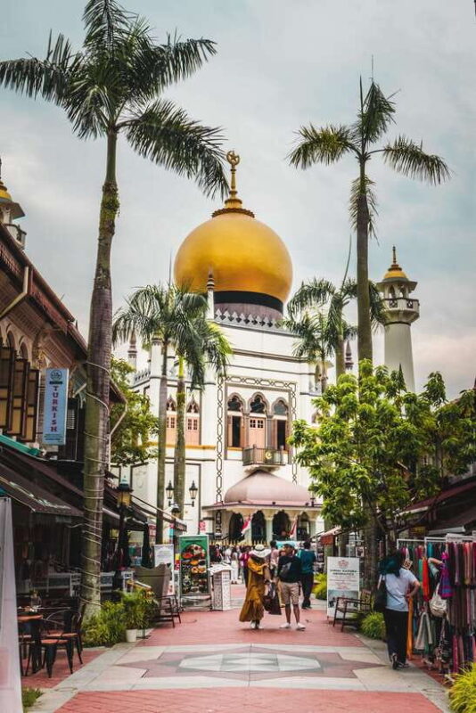Flagship Singapore Cultural City Tour - Practical Details and Value