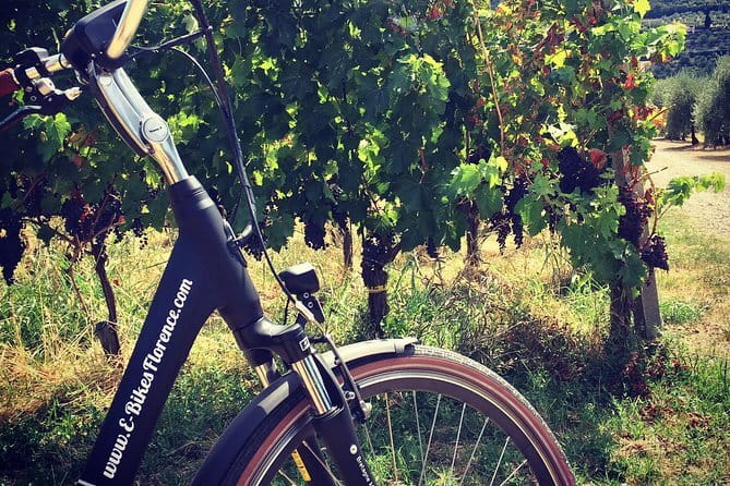 Florence, Guided Bike Tour to Discover the Secrets - Authentic Experiences and What Travelers Say