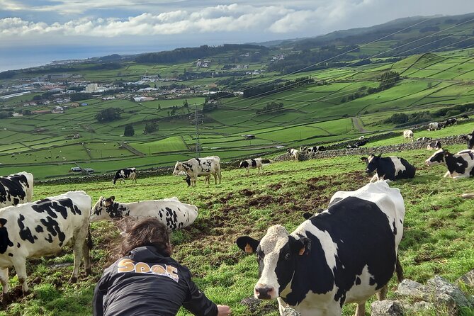 From Angra: Terceira Island Full-Day Jeep Tour (Shared Tour) - Who Will Love This Tour?