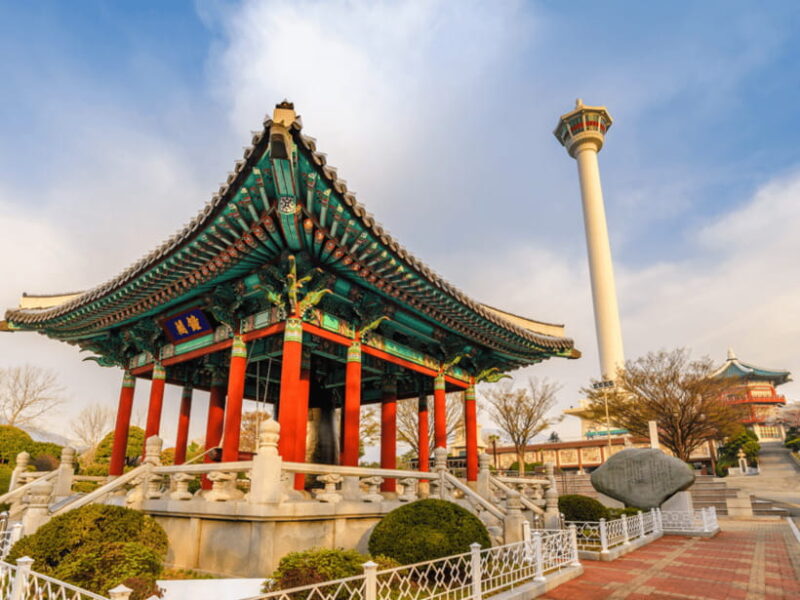 From Busan Port: Sightseeing Tour for Cruise Passengers - Final Thoughts