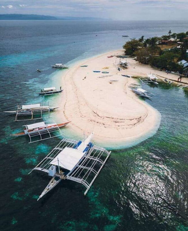 From Cebu:Pamilacan, Virgin Island, Dolphin Watching & Lunch - Who This Tour Is Perfect For