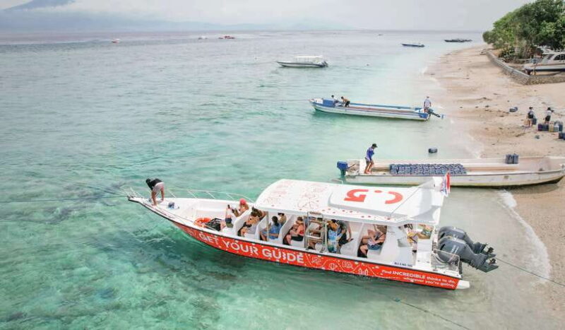 From Ceningan: Snorkeling with Manta Rays at Manta Point - What’s Included and What’s Not
