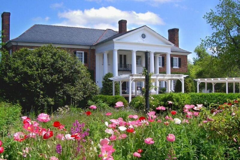 From Charleston: Boone Hall Plantation Entry with Transfers - The Bottom Line