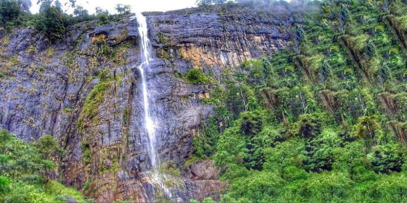 From Ella: Diyaluma Falls Full-Day Tour with Lunch - What Travelers Love About This Tour