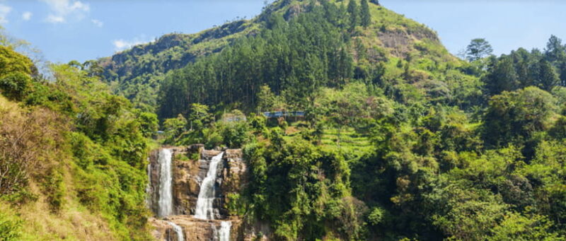 From Ella: Nuwara Eliya Tea Factory and Plantation Tour - A Visit to a Traditional Tea Factory