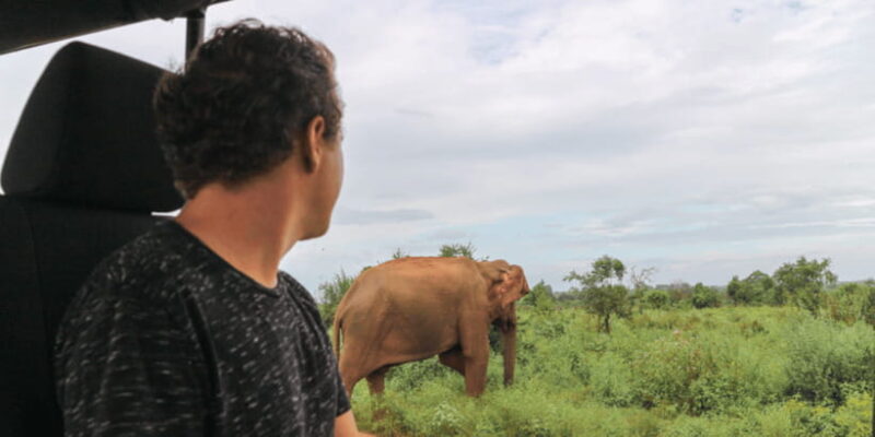 From Ella : Udawalawe & YALA Safaris with Breakfast & Lunch - What Makes This Tour Stand Out?