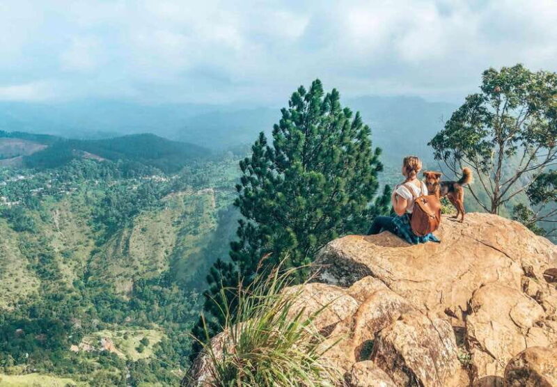 From Galle/Hikkaduwa/Mirissa: Day Trip to Experience Ella - Practical Details and Tips