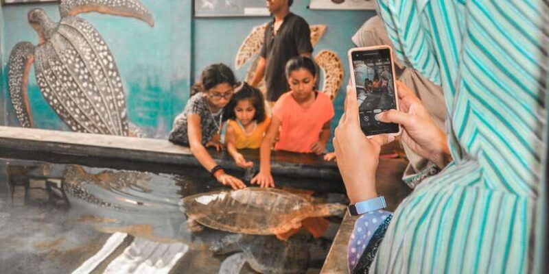 From Galle: Private Day Trip to Turtle Hatchery & Madu Ganga - Who Should Consider This Tour?