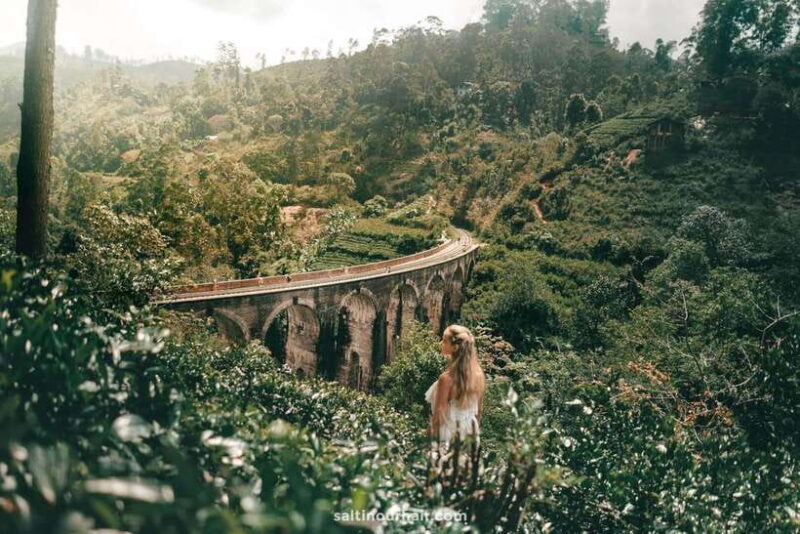From Galle/Weligama/Mirissa: Day Trip to Ella Highlands - Who Will Love This Tour?