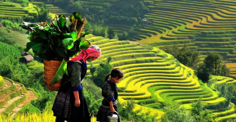 From Hanoi: 2-Day Trekking To Villages In Sapa with Homestay - Practical Details and Tips for Travelers