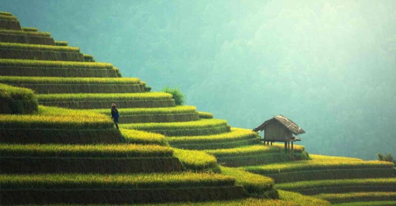 From Hanoi: 2D1N Sapa Trekking by VIP Sleeper Bus - Transportation and Accommodation — How It All Comes Together