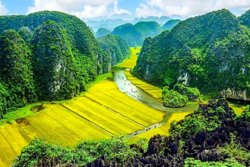 From Hanoi : Hoa Lu - Trang An and Mua Cave Full-Day Trip - Authentic Experiences and Traveler Feedback