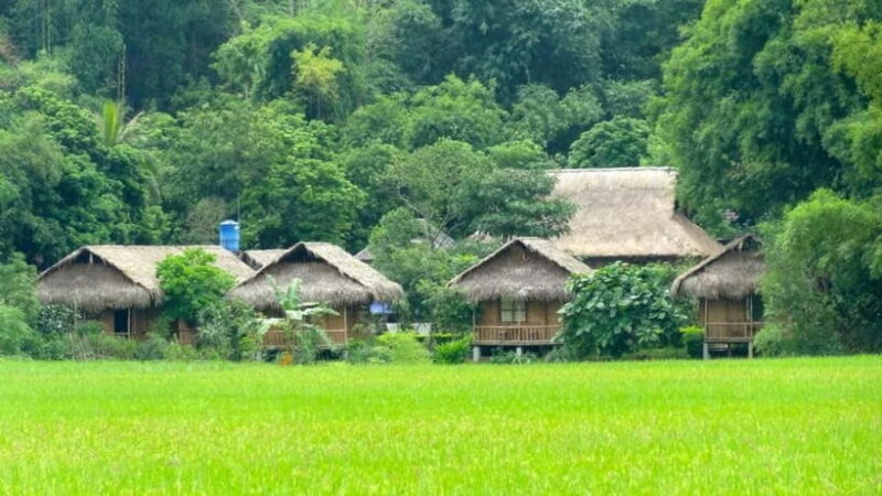 From Hanoi: Mai Chau, Pu Luong, Ninh Binh 3-Day Tour - Who Would Enjoy This Tour?