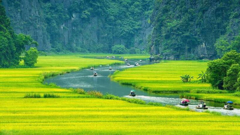 From Hanoi: Ninh Binh, Hoa Lu, Tam Coc boat trip & Mua cave - Climbing Mua Cave for Panoramic Views
