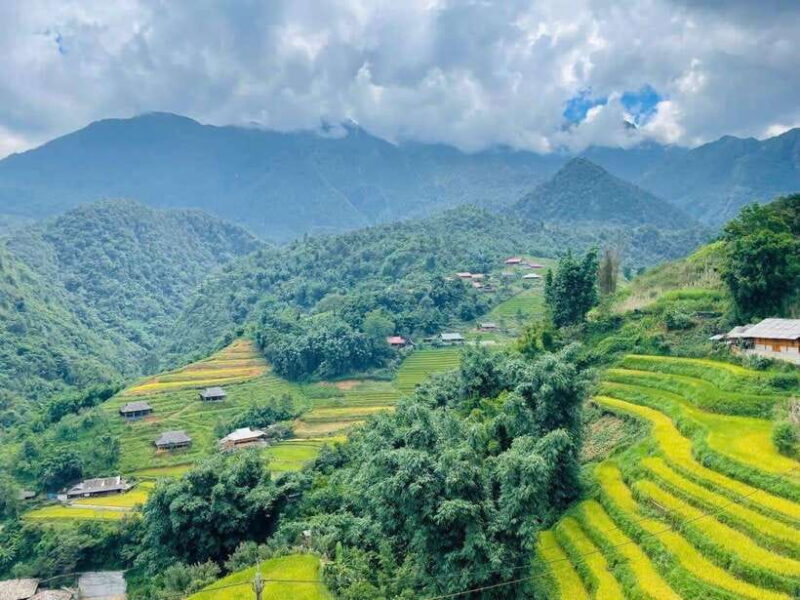 From Hanoi or Sapa: Sapa Trekking 2- Days with local guide - Potential Considerations for Travelers
