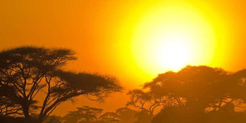 From Hikkaduwa: Udawalawe National Park Safari Tour - The Practical Side: Price, Duration, and Value