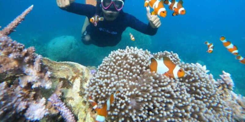 From Jepara: Karimunjawa Archipelago 3-Day Snorkeling Tour - Day 3: Panoramas and Relaxation Before Returning
