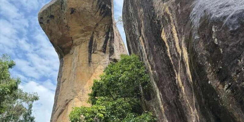 From Kandy: Pidurangala Rock and Minneriya National Park - FAQ