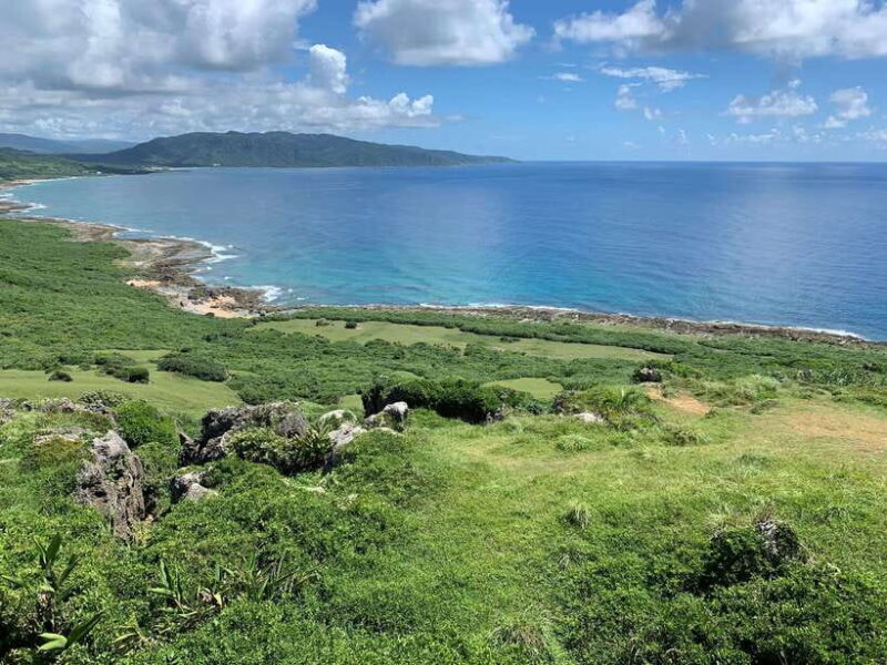From Kaohsiung: Kenting & Ocean Coast Private Day Tour - The Value and Practicality of the Tour