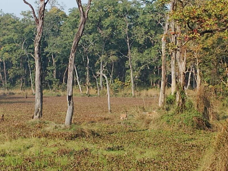 From Kathmandu or Pokhara: 4-Day Chitwan National Park Tour - Who Will Love This Tour?