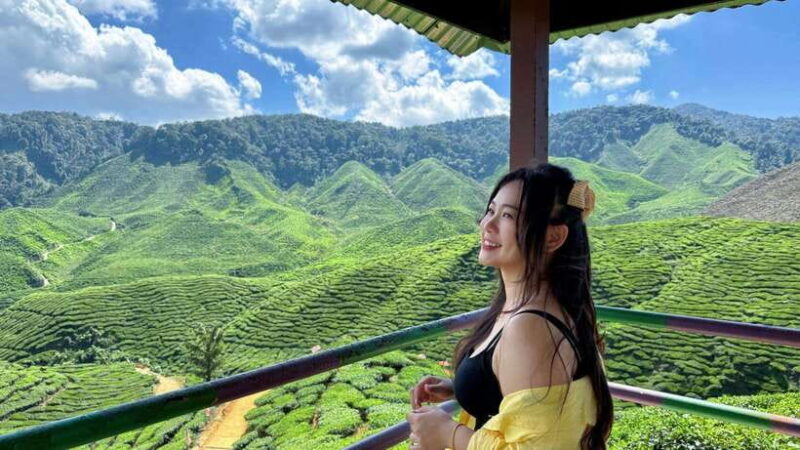 From Kuala Lumpur: Cameron Highlands Day Tour with Lunch - What Past Travelers Say