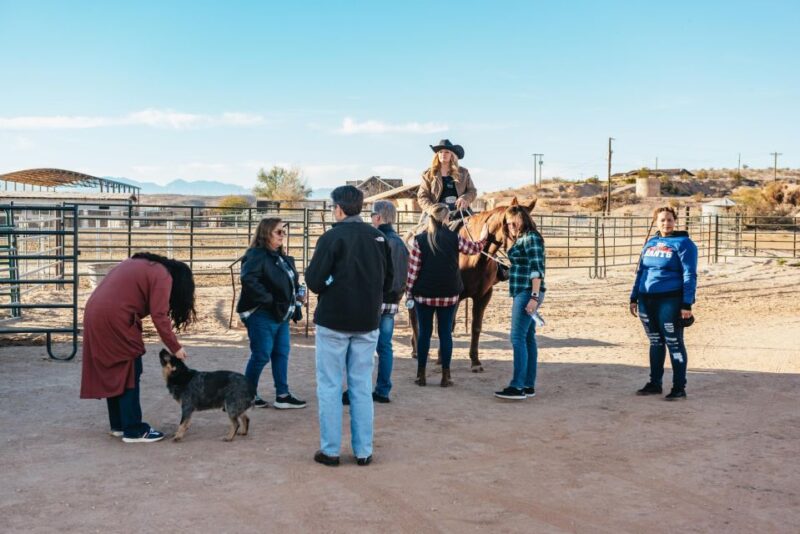 From Las Vegas: Desert Sunset Horseback Ride with BBQ Dinner - The Horses and the Landscape