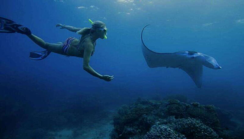 From Lembongan: Nusa Penida Private Snorkeling & West Tour - Authentic Experiences & Traveler Feedback