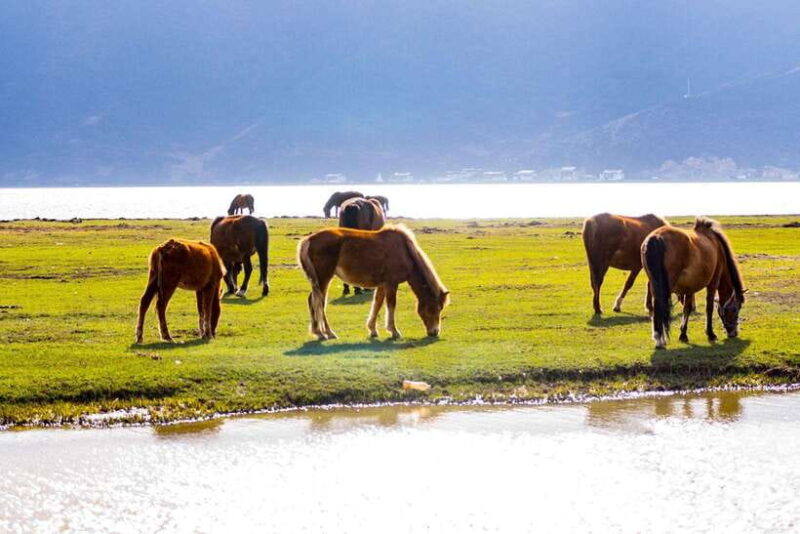 From Lijiang: 6-Day Lijiang to Shangri-La Adventure Tour - FAQ