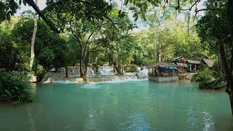 From Luang Prabang: Thin Pha Trail & Tad Sae Falls Trek - The Logistics: Value, Comfort, and Practical Tips