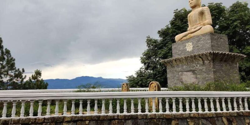 From Negombo: Ambuluwawa Tower & Tea Factory,Kandy Day Trip - Who will love this tour?