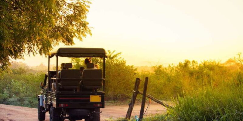 From Negombo: Minneriya National Park Safari Tour - FAQ