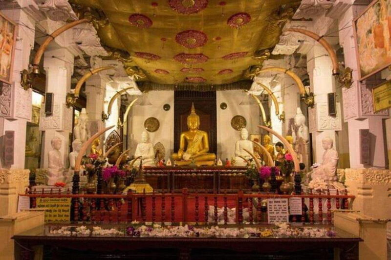From Negombo : Pinnawala & Tea Factory & Kandy Full Day Trip - Who Is This Tour Best For?