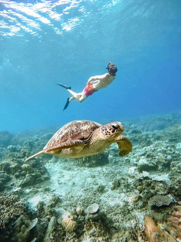 From Nusa Penida: 2D1N Gili Islands Private Snorkeling Tour - Analyzing the Value