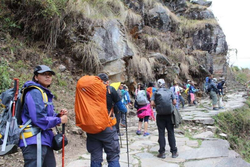 from Pokhara: 7-Day Annapurna Base Camp Trek - The Itinerary: Day-by-Day Breakdown
