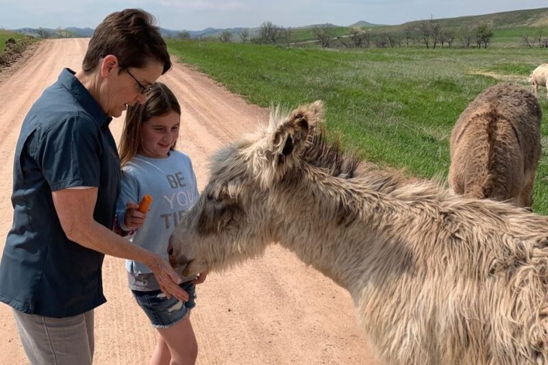 From Rapid City: Custer State Park Private Safari and Hiking - Practical Details and Tips